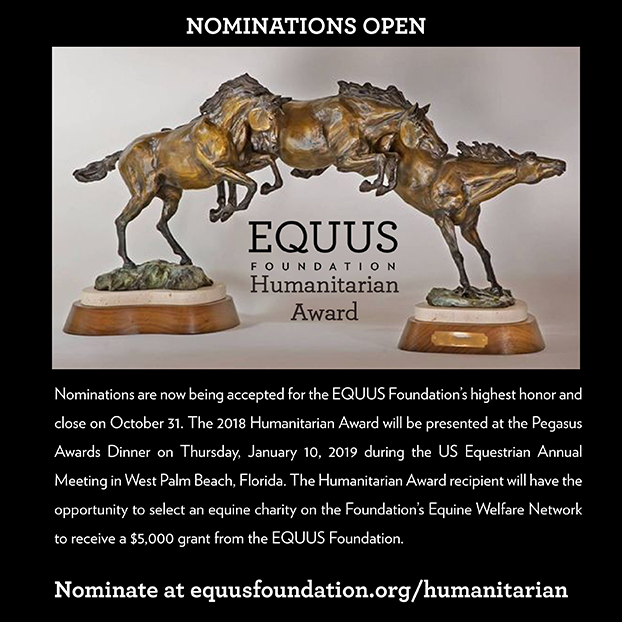 2018 Humanitarian Award Nominations